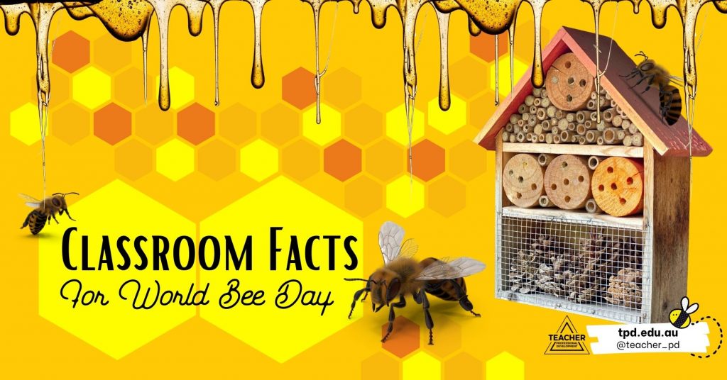Classroom Facts for World Bee Day - Teacher Professional Development
