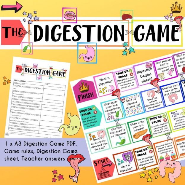 Digestion Game A3 - Digital - Teacher Professional Development